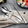 Jet Black Flatware Cutlery Set- Top Reviews